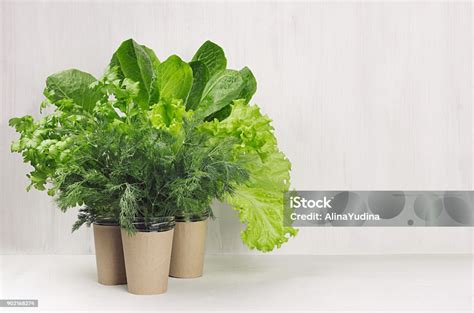 샐러드 시금치 딜 흰색 나무 선반 복사 공간에 공예 냄비에 파 슬 리 건강 한 음식입니다 0명에 대한 스톡 사진 및 기타 이미지 Istock