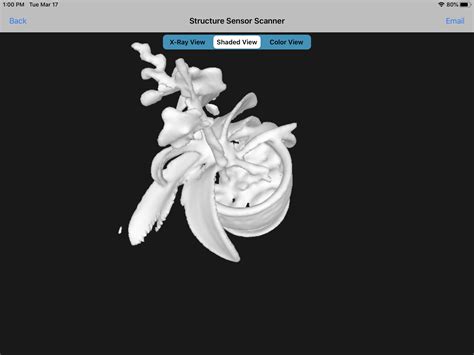 Can I Use Structure Sensor Pro For Scanning Plants Structure Faqs