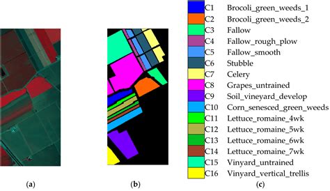 Remote Sensing | Free Full-Text | A Constrained Graph-Based Semi-Supervised Algorithm Combined ...