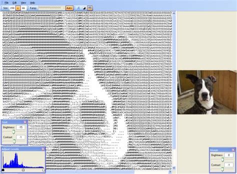 Ascii Generator Dotnet 081 Karakteres Grafikák Pcw A Megújult