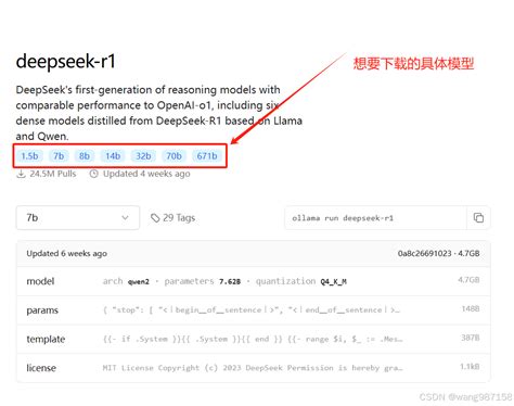 本地部署deepseek ollama langchain langserver langfuse deepseek csdn博客