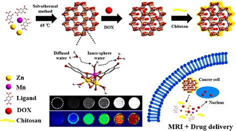 A Bimetallic Zn 0 7 Mn 0 3 Mof 74 Cs Synthesis And Anticancer Download Scientific Diagram