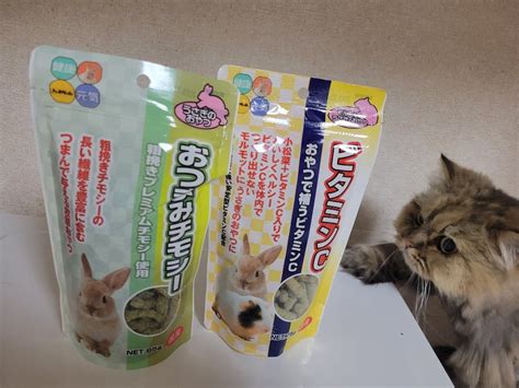 ココ氏の食生活 【すず音うさぎと猫日和】