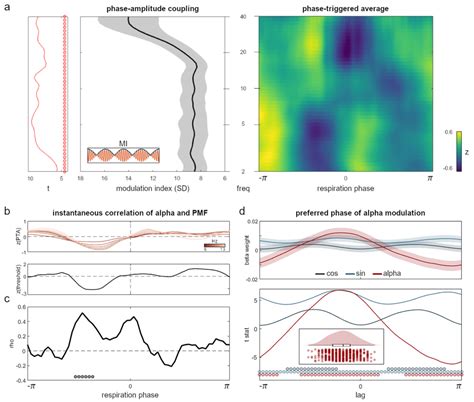 Respiration Locked Alpha Power Modulations Drive Perception Effects Download Scientific