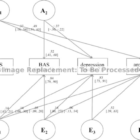 Best Fitting Model Two Wave Longitudinal Multivariate Cholesky Download Scientific Diagram