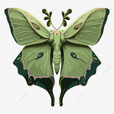 Luna Moth Vector Sticker Clipart In The Style Of Surrealistic Cartoons Sticker Png And Vector