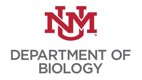 Unm Alum Research Examines The Future Of Bees In The Southwest Arts