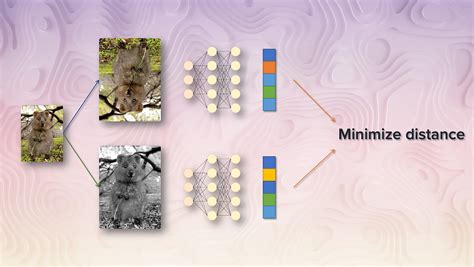 fixing simclr s biggest problem — byol paper explained towards ai