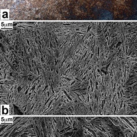 Micrographs A Optical Micrograph Showing The Structure At Arrow B Of