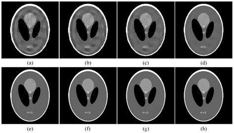 the tomographic results reconstructed by the proposed sidr algorithm