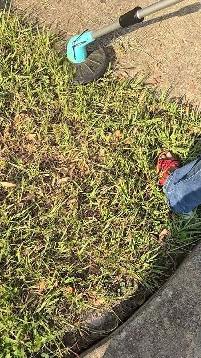 Electric Grass Trimmer Youtube