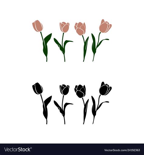 Simpleline Art Tulp Royalty Free Vector Image Vectorstock