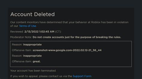 Top 10 Best Dumb Roblox Bans Gamer Journalist