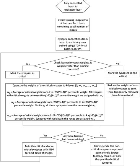 stdp based pruning of connections and weight quantization in spiking