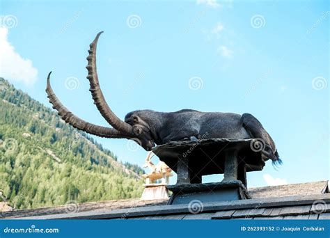 Alpine Ibex Capra Resting Bucolic On The Roofs Of Alpine Huts Typical Image For Tourists
