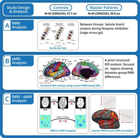 Structural Deficits May Explain Mood Independent Cognitive Difficulties In Bipolar Disorder
