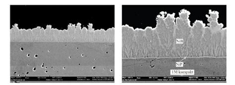 Corrosion Resistance And Hardness Properties Of Electroless Nipnib