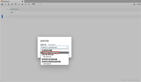 Jupyter Lab设置切换虚拟环境jupyterlab为什么在一个虚拟环境下可以打开在另一个虚拟环境下打不开 Csdn博客
