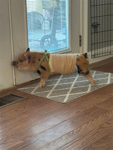 Christopher Cluff Added A New Photo Christopher Cluff