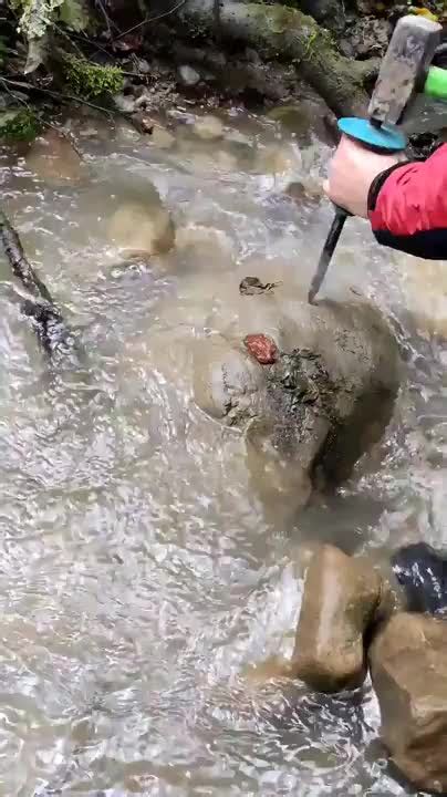 Finding Ammonite Fossils In River Rocks Album On Imgur