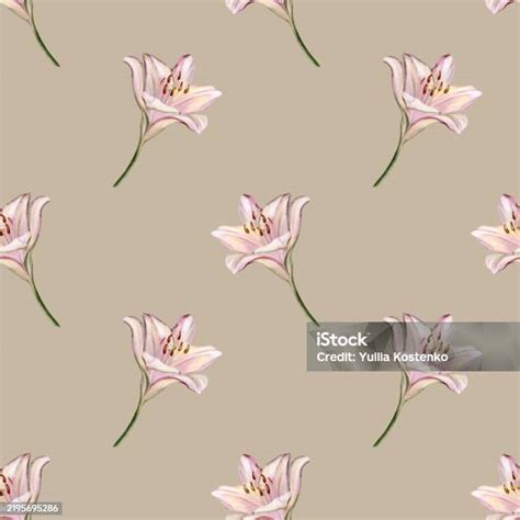 직물과 감싸는 디자인을 위한 섬세한 백합의 아름 다운 완벽 한 수채화 패턴 0명에 대한 스톡 벡터 아트 및 기타 이미지 0명 개화기 고정됨 Istock
