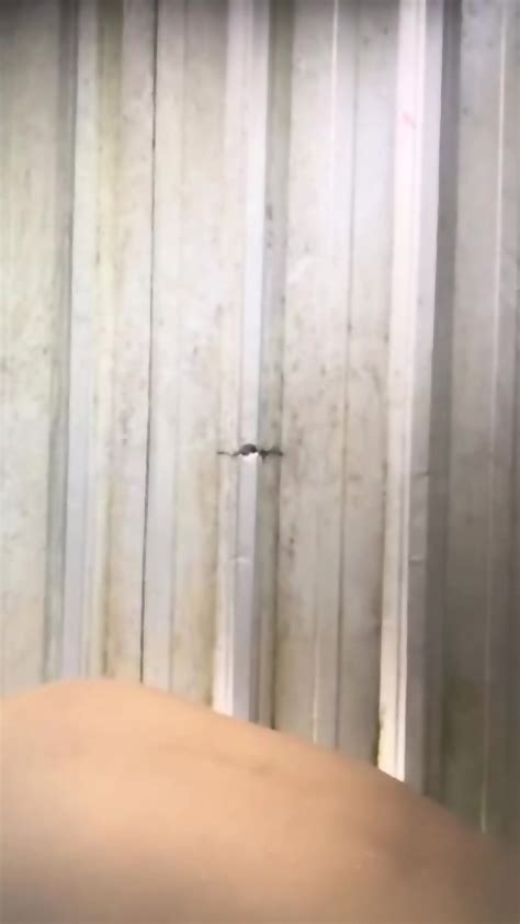 Ngintip Mandi Binor Berjembut Rapi