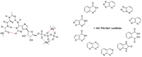 Hinge Binders Library Enamine