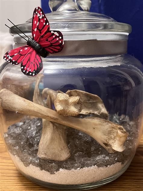 Roadkill Reginald Raccoon Bone Jar I Made 2 Rvultureculture