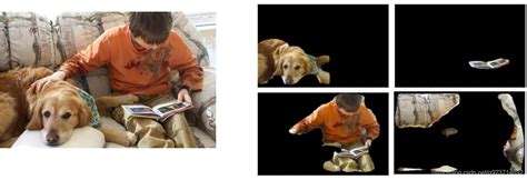 Keras框架：实例分割mask R Cnn算法实现及实现分割掩膜 Csdn博客