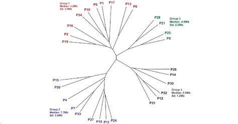 Hierarchical Clustering Dendrogram Graphic Showing The Formation Of