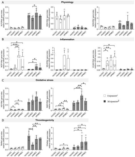 Comparison Of MRNA Expression Levels Across Endothelial Cells From Download Scientific Diagram