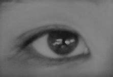Fake Iris Detection Object Detection Dataset By Thesis