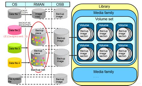 Oracleocp之rman的安全备份（osb）oracle Secure Backup Csdn博客