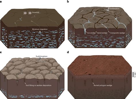 Buried Polygons On Mars Point To Stark Environmental Transition Sky Telescope