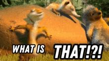 Hammy The Squirrel Over The Hedge S Tenor