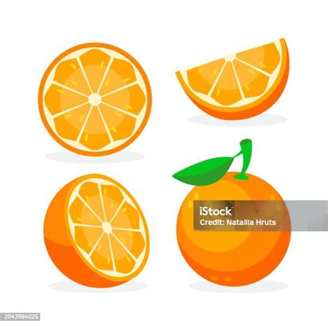 신선한 오렌지 컬렉션 흰색 배경에 고립된 오렌지 과일입니다 벡터 일러스트 레이 션 0명에 대한 스톡 벡터 아트 및 기타 이미지 0명 감귤류 과일 개체 그룹 Istock