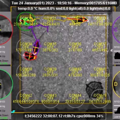 live tracking of multiple mice in a neuromelanin inducing pd model over