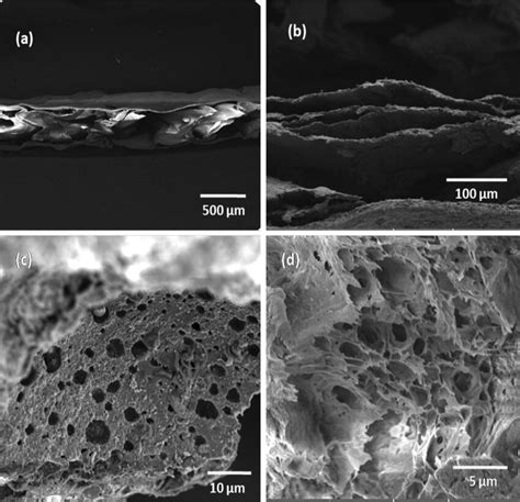 Fe Sem Micrographs Of Cc Membranes A B Cross Section Image C D