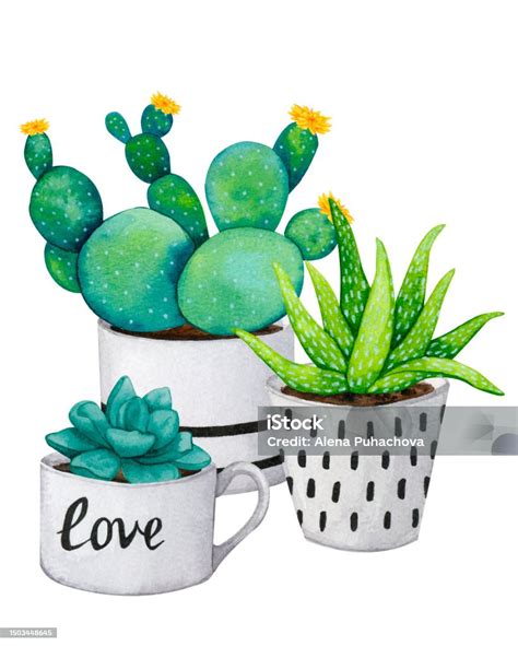 세라믹 냄비에 선인장과 다육 식물의 수채화 구성 카드 포스터 발표 문구류 로고 광고 등을 위한 다채로운 손으로 그린 테두리 0명에 대한 스톡 벡터 아트 및 기타 이미지