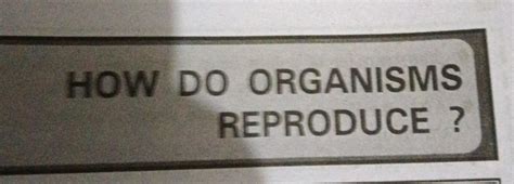 HOW DO ORGANISMS REPRODUCE Filo