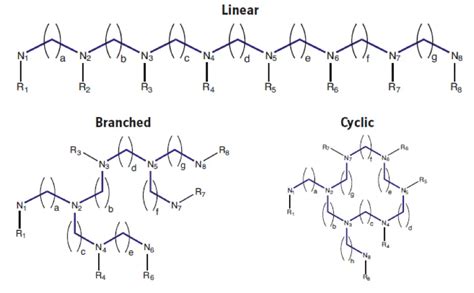 Blog Diamines And Polyamines