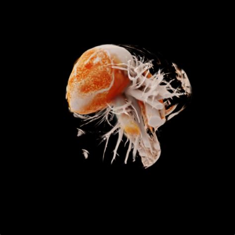 7dgs Unified Spatial Temporal Angular Gaussian Splatting