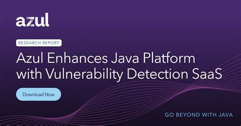 Ralph Voelter On Linkedin Azul Enhances Java Platform With Vulnerability Detection