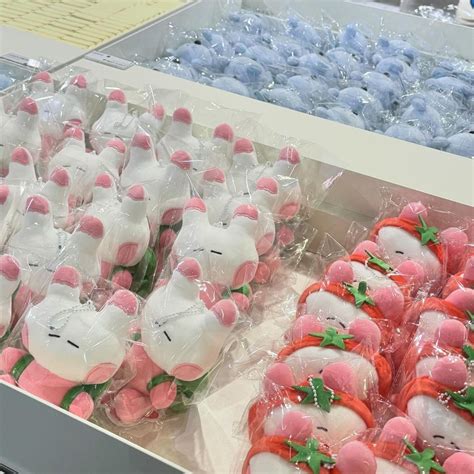 Popply 팝플리 전국 팝업스토어 정보 플레이스 리스트