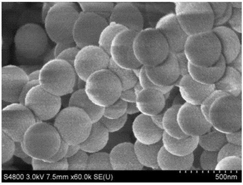 Urchin Like Double Shell Hollow Microspheres And Preparation Method