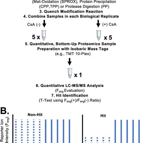 A Schematic Representation Of The Experimental Workflow Used In This
