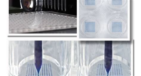 Multiplex Microarray Elisa Getting More For Less