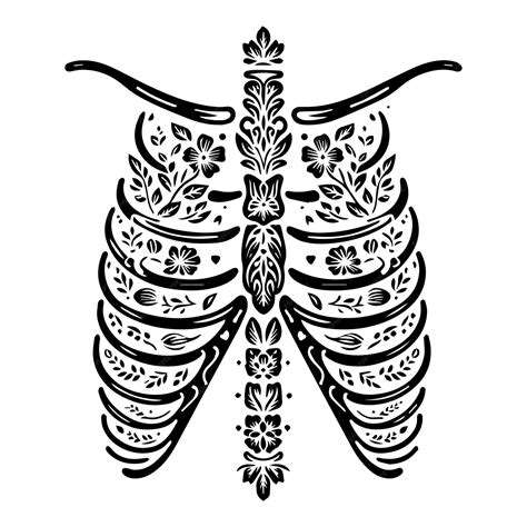 Hand Drawn Chest Rib Bone Vector Illustration Premium Ai Generated Vector