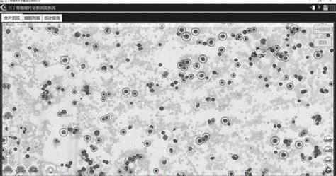 细胞检测识别系统及方法与流程