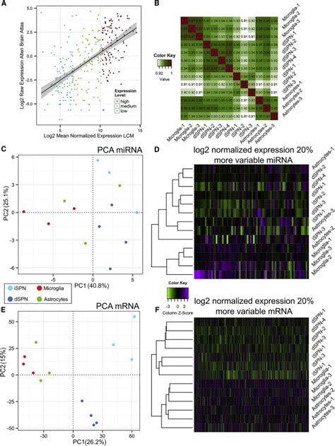Cell Type Specific Gene Expression Profiling In Adult Mouse Brain Reveals Normal And Disease